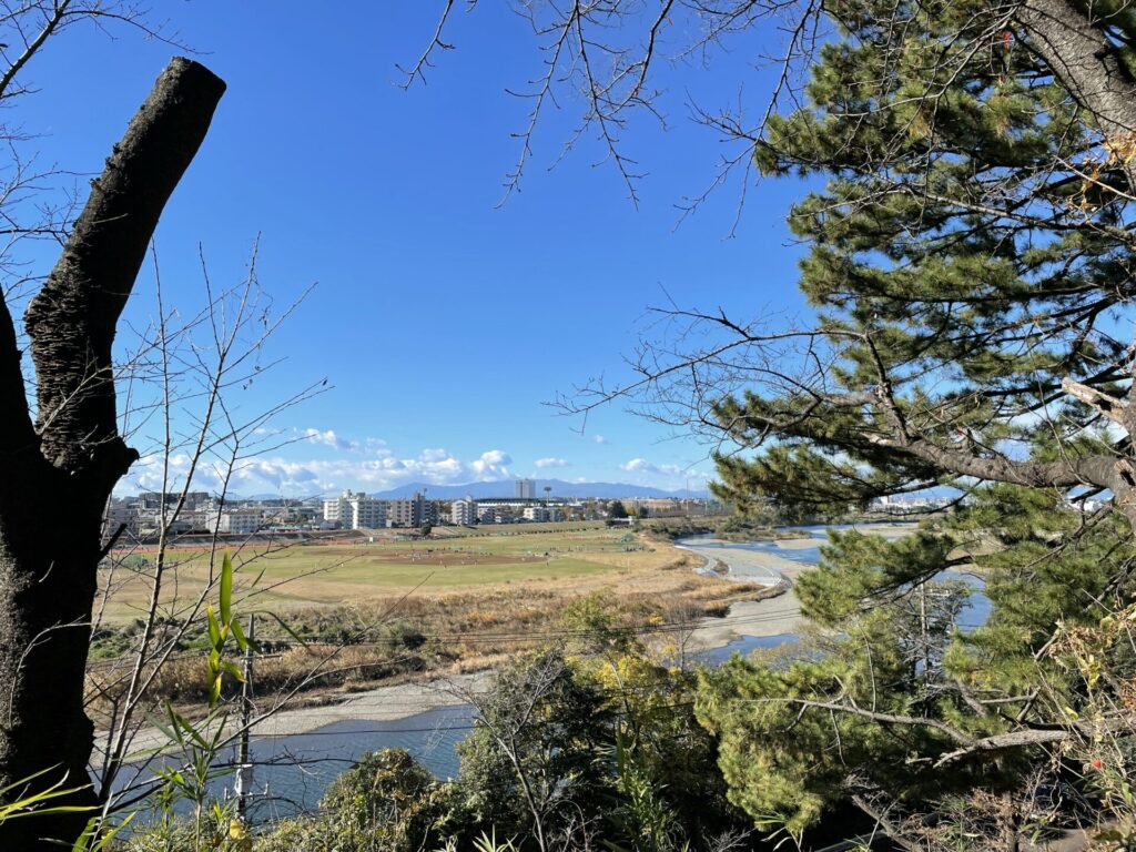 青空の下、自然の景色と癒しを求めて「多摩川台公園」日帰り散歩しました。 | 自分の足跡（Taeru日記）